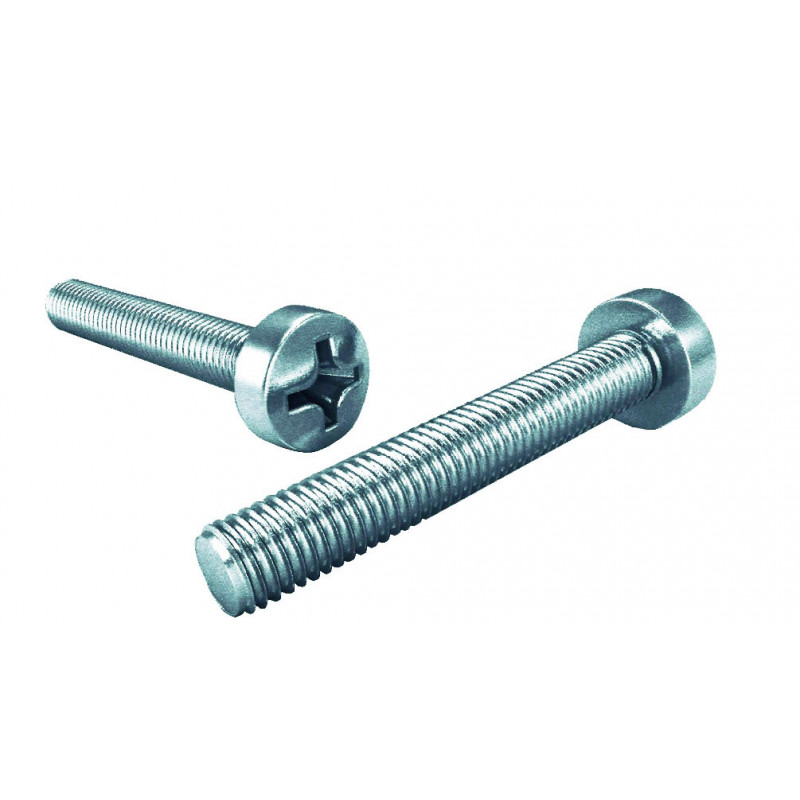 VITE T.C. UNI 7687 ZINCATA 5 X 10 - 010423-05010